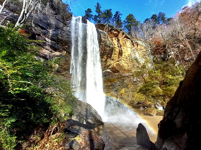 Toccoa Falls plunges 186 feet in a spectacular display that makes Niagara look like it's trying too hard. Nature's showstopper, Georgia-style.