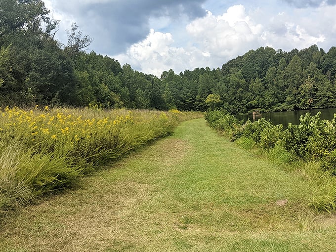 Nature's perfect balance of wild and tamed – this trail beckons with golden wildflowers on one side and the serene lake on the other.