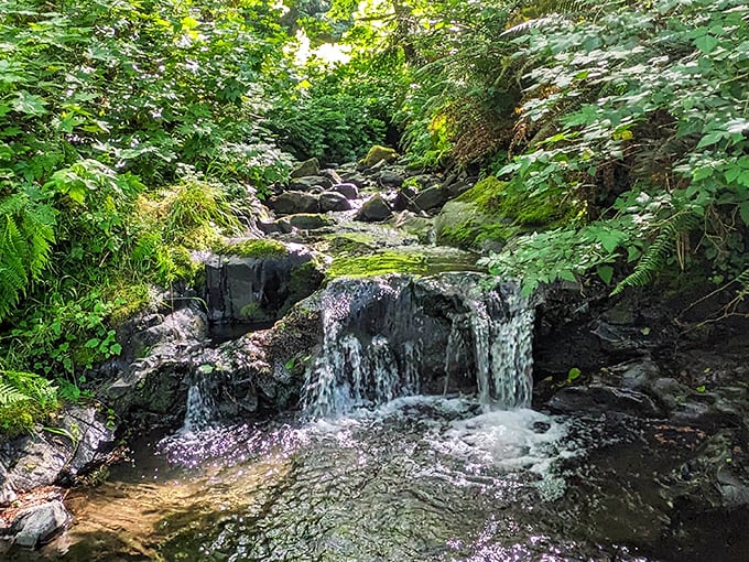 This babbling brook whispers secrets that only the ancient trees above seem to understand completely.
