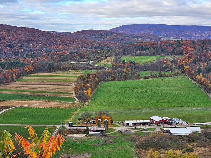 Fall's paintbrush transforms the landscape into a patchwork quilt of amber and emerald, with farmsteads dotting the valley like game pieces.
