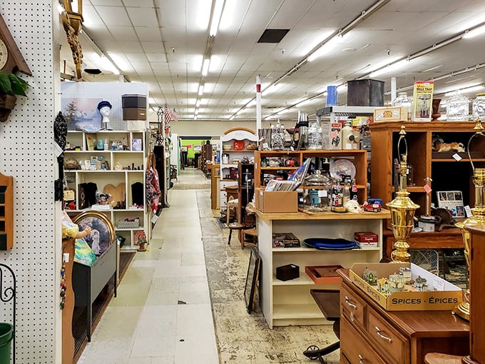 Aisles that stretch toward infinity, each one a rabbit hole of possibilities. The white tile path leads to discoveries you didn't know you were searching for.
