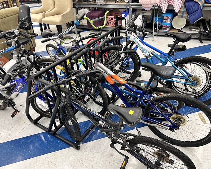 A two-wheeled traffic jam of possibility! These bikes aren't gathering dust—they're just waiting for their next adventure with a new owner.