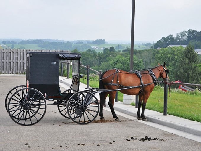 Time stands still as horsepower takes on its original meaning. This trusty steed and buggy remind us that sometimes slower is sweeter.
