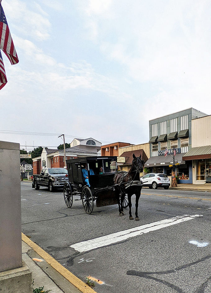 Downtown Middlebury: where horse-drawn buggies and pickup trucks share the road like old friends at a reunion dinner.