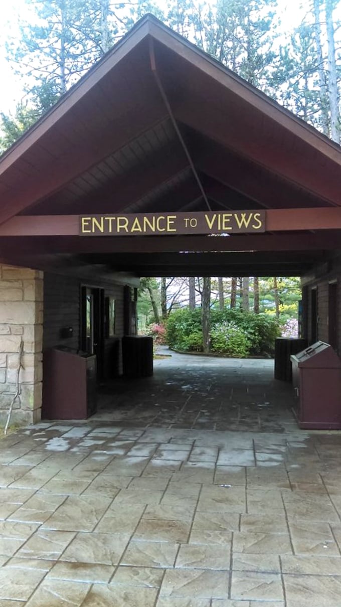 "Entrance to Views" isn't overselling it – this gateway promises and delivers nature's most spectacular show just steps beyond.