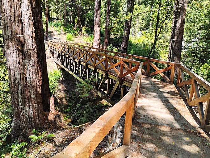 Nature's perfect bridge design – sturdy enough for hikers, photogenic enough for Instagram, and guaranteed to make you feel like an explorer.