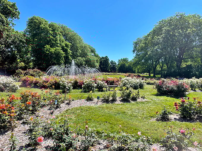 Summer sunshine bathes the garden in golden light, where fountains and flowers compete for who can put on the better show.