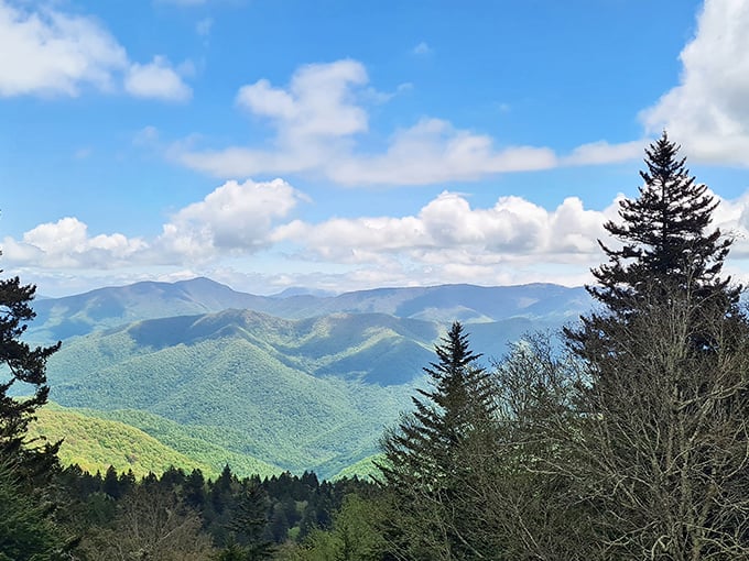 Nature's own masterpiece unfolds in waves of emerald and sapphire. The Blue Ridge Mountains don't just rise—they perform an entire symphony.