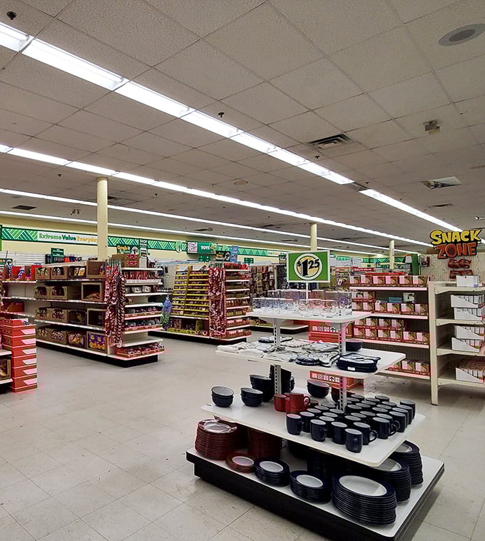 Aisles stretch into infinity like a budget-friendly version of Willy Wonka's factory, where every shelf promises affordable treasures.