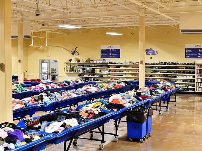 Blue bins as far as the eye can see – each one a potential goldmine of fashion finds priced by the pound.
