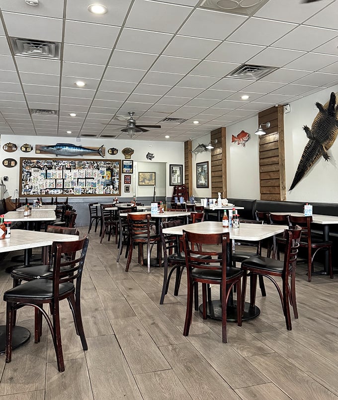 Simple wooden tables, mounted fish, and zero pretension – the dining room at Southern Coast Seafood lets the food do all the talking. 