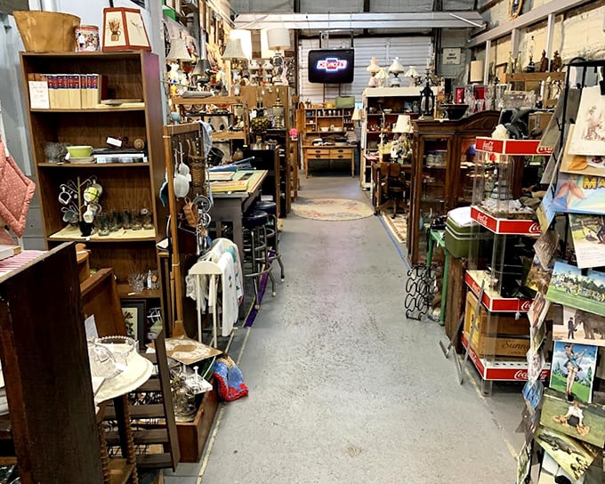 Aisles that seem to stretch into infinity, each turn promising new discoveries. This isn't shopping—it's time travel with price tags.