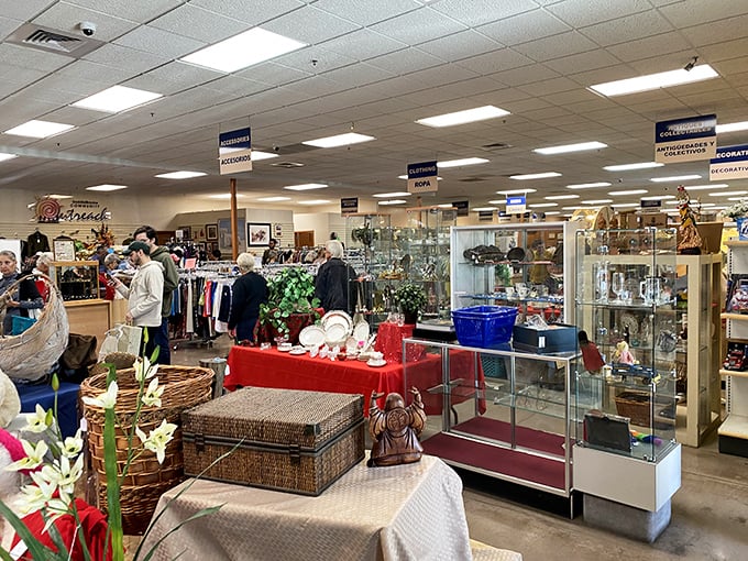 Not your grandmother's jumble sale—Golden Goose's meticulously organized interior feels more like a department store where everything comes with a backstory.