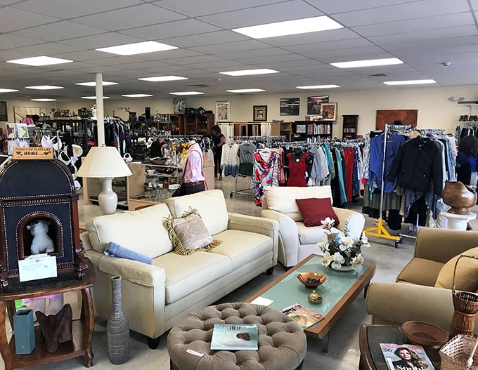 Step inside and witness the magnificent organized chaos—where cream-colored sofas mingle with clothing racks in a dance of secondhand splendor. 