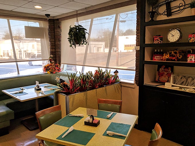 Sunlight streams through large windows, illuminating turquoise placemats and hanging plants in this dining room where time seems to slow down just enough.