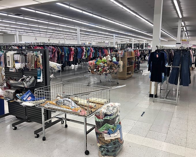 Inside a Pennsylvania thrift store, fluorescent lights illuminate rows of clothing racks, shelves, and bins brimming with a variety of treasures waiting to be discovered by shoppers.