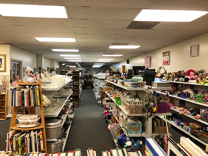 Aisles that stretch toward infinity, each shelf a new chapter in the story of "someone else's stuff becoming your next conversation piece."