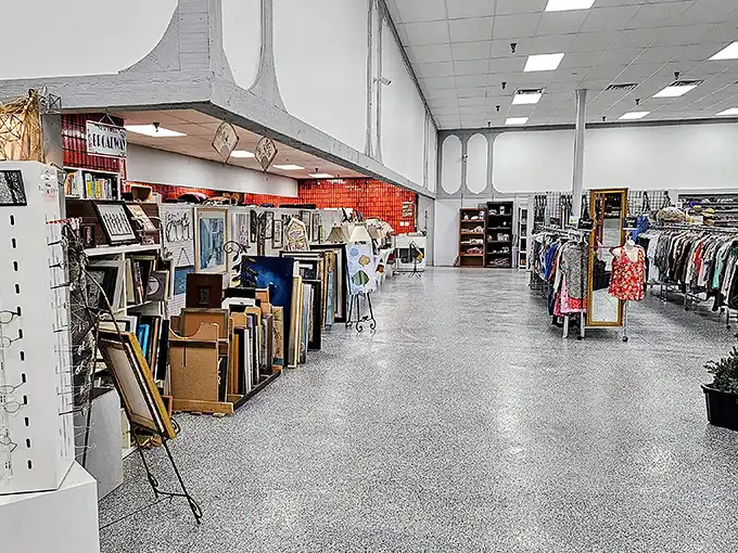 Wide aisles and organized chaos – the thrift store equivalent of having your cake and actually finding the plate to eat it on.