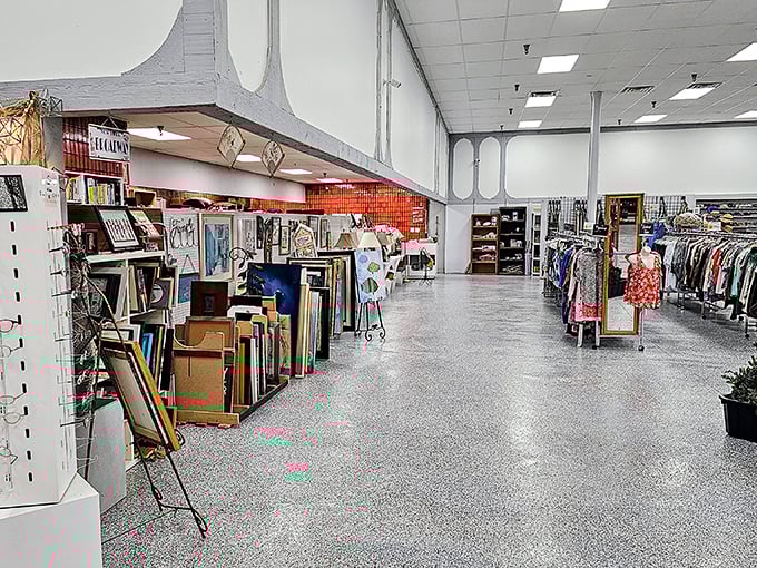 Wide aisles and organized chaos – the thrift store equivalent of having your cake and actually finding the plate to eat it on.