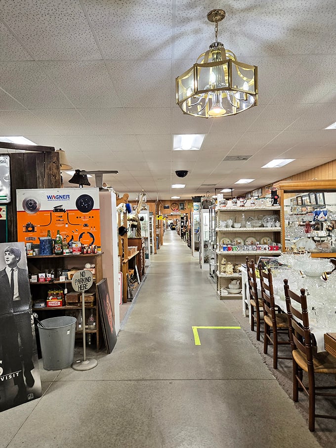 Aisles that seem to extend into infinity, each turn promising new discoveries and unexpected finds from decades past.
