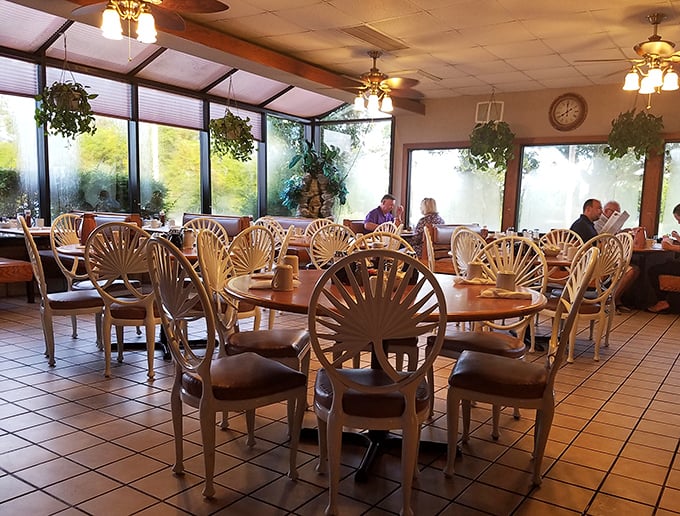 Sunlight streams through windows illuminating those iconic sunburst chairs—the unofficial thrones of breakfast royalty at Dino's.