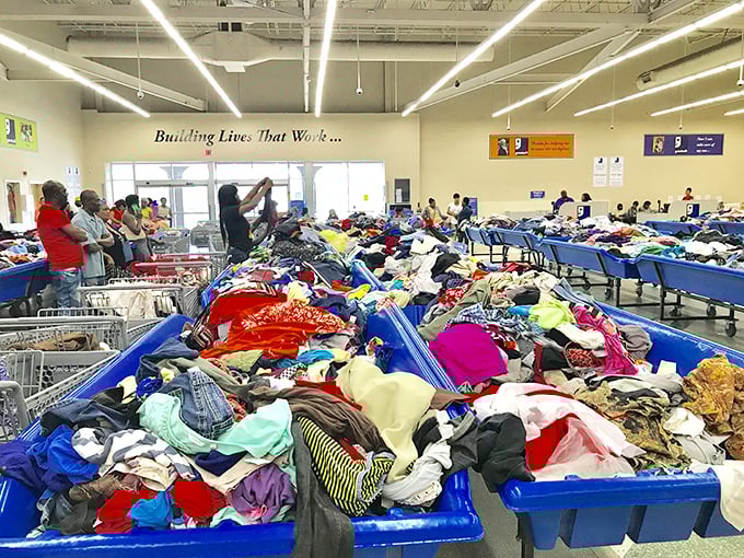Treasure hunting in its purest form. These blue bins aren't just containers—they're portals to affordable possibilities where one person's castoffs become another's jackpot.