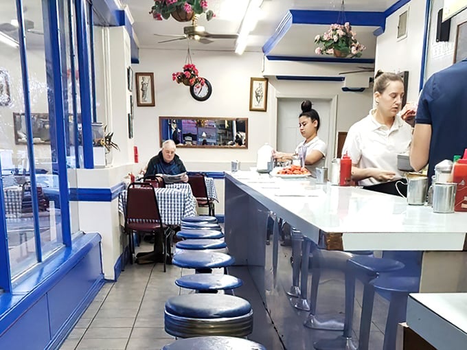 Classic blue and white interior with counter seating that whispers, "Sit down, stay awhile, and watch breakfast magic unfold before your eyes."