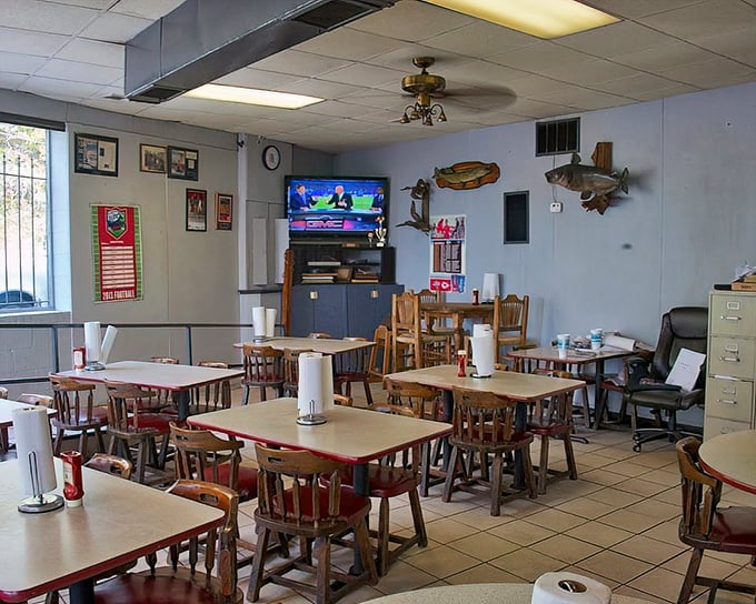 No-frills dining at its finest. The mounted fish on the wall isn't judging your order—he's jealous he can't have any.