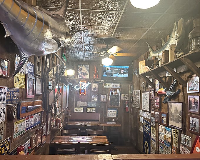 License plates from across America line walls where mounted fish keep watch. It's not decor—it's a visual diary of decades serving memorable meals.