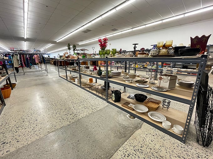 Meticulously organized shelves stretch into the distance, a far cry from the chaotic jumble you might expect at a thrift store.