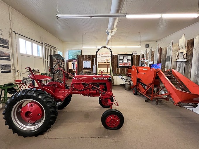 Vintage farming equipment tells the story of potato cultivation through the decades. That red Farmall tractor isn't just machinery—it's agricultural poetry.