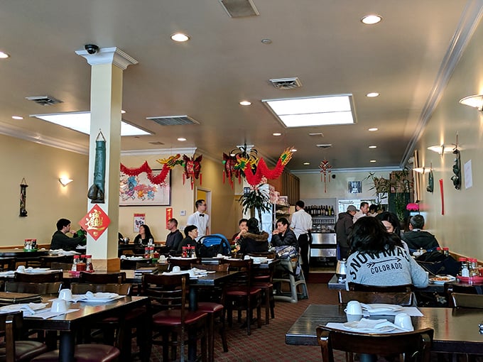 The bustling interior where magic happens. Traditional Chinese decorations hang from the ceiling while diners focus on what really matters – those legendary plates.