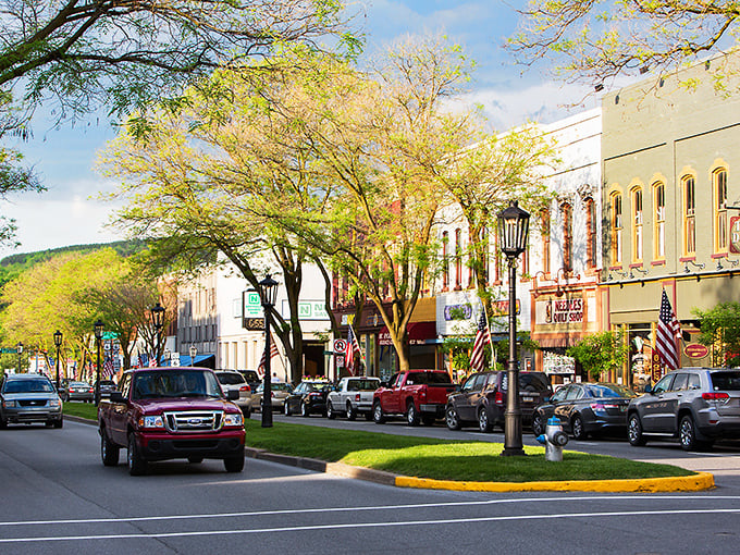 Golden hour transforms Wellsboro's boulevard into a postcard-perfect scene. Those trees aren't just pretty—they're keeping property values reasonable!