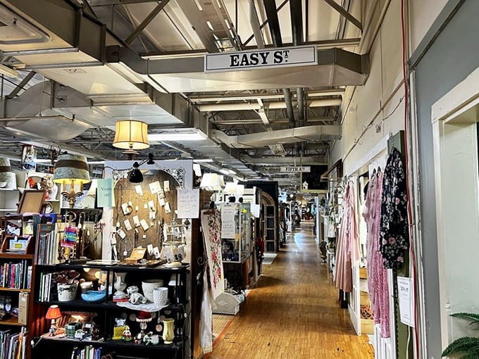 Welcome to organized chaos where every aisle holds surprises that'll make your grandmother's attic jealous beyond belief.
