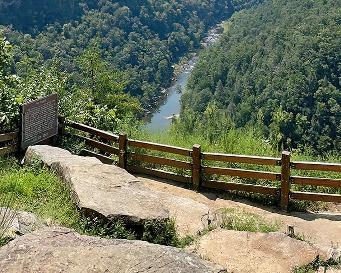 That stone bench isn't just practical seating – it's nature's VIP box for one of the most spectacular shows on the East Coast.