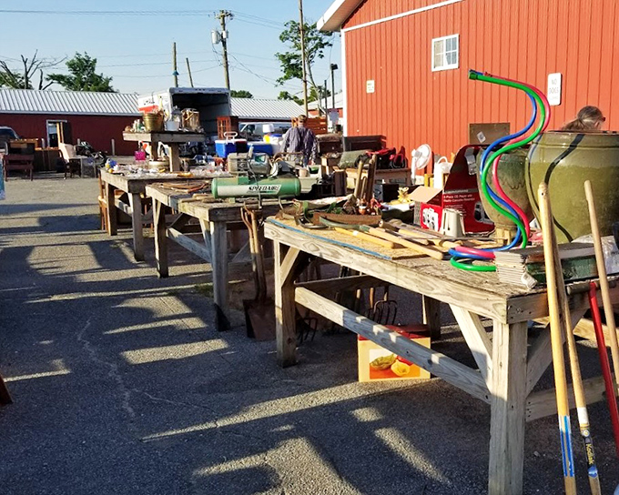 Morning light catches colorful hula hoops and garden tools on weathered tables—the calm before the bargain-hunting storm begins.