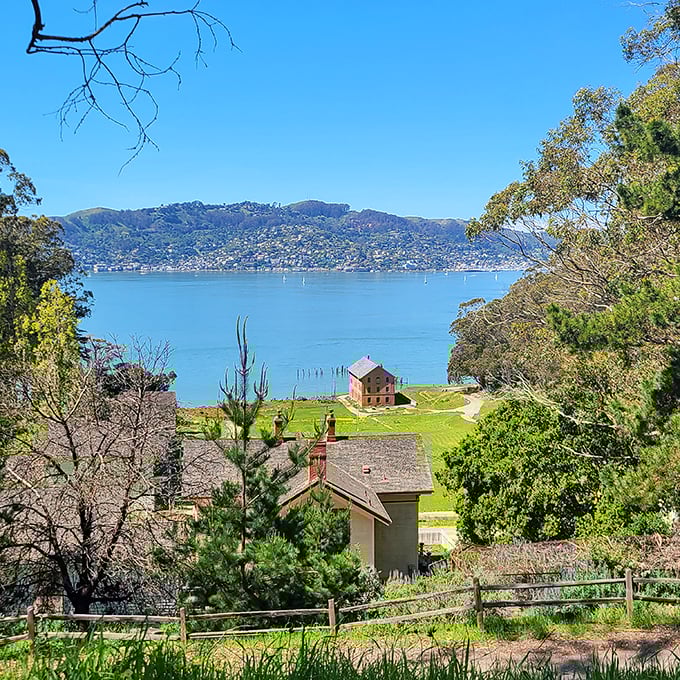 Historic buildings peek through lush greenery, offering a glimpse into the past while framing that million-dollar bay view no realtor could ever price.