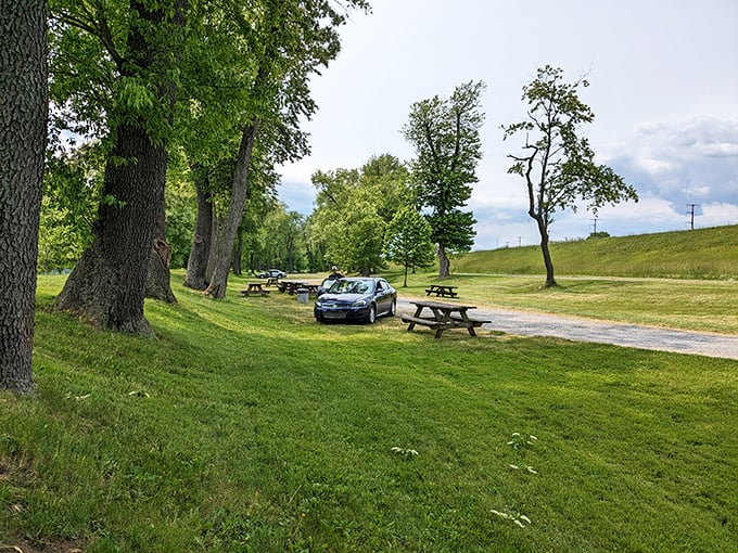 These picnic tables aren't just furniture—they're front-row seats to nature's greatest show, with century-old trees providing the ultimate shade canopy.