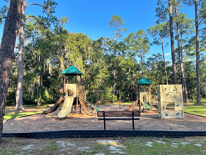 Playground paradise where kids can burn off energy before parents attempt the "how many alligators can you spot" challenge.