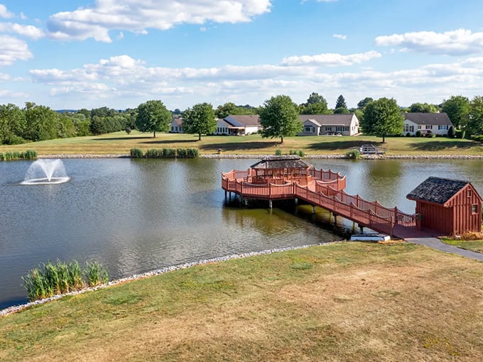 That red dock isn't just for show—it's where morning coffee tastes better and sunset conversations become the highlight of your day. Nature's front-row seats.