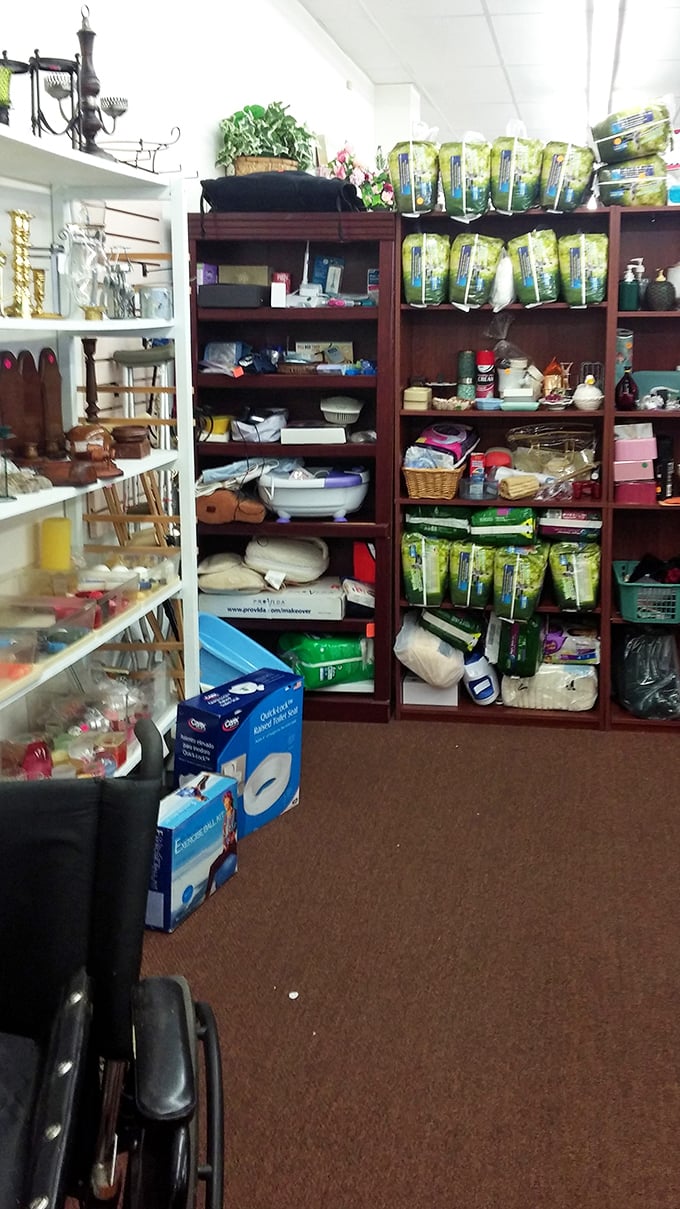 Shelves packed with everyday essentials and unexpected surprises – the thrift store equivalent of that friend who always has exactly what you need.