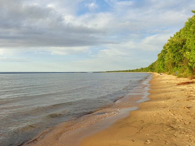 Mother Nature's own beachfront property – where forest green meets sandy gold along Whitefish Bay's pristine shoreline.