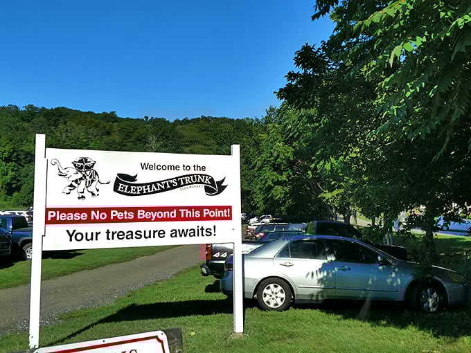 "Your treasure awaits!" promises the welcoming sign, and rarely has roadside advertising been so truthfully optimistic about what lies beyond.
