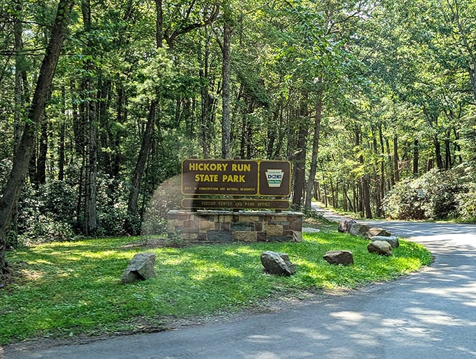 The welcoming entrance sign promises adventure ahead. Like finding the door to Narnia, but with better trail maps and fewer talking lions.