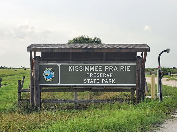 The unassuming entrance sign—Florida's version of "nothing to see here" that actually means "everything to see here, if you know where to look."