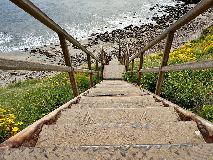These wooden steps aren't just a path to the beach—they're a stairway to heaven, California-style. Each step down brings you closer to paradise.