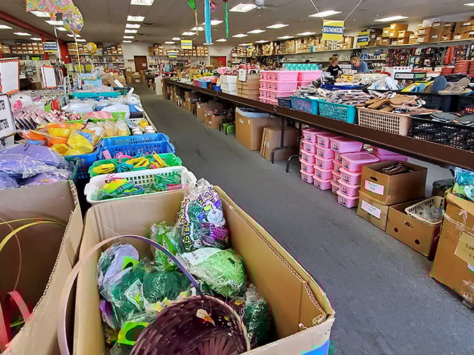 Treasure hunting in action! Bins and shelves packed with possibilities – where one person's retail reject becomes another's incredible find.
