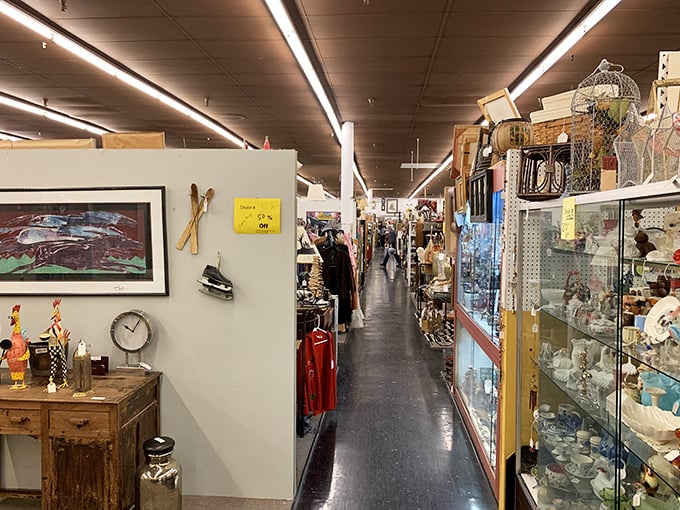 Corridors of curiosities stretch as far as the eye can see. Each aisle promises its own rabbit hole of discoveries.