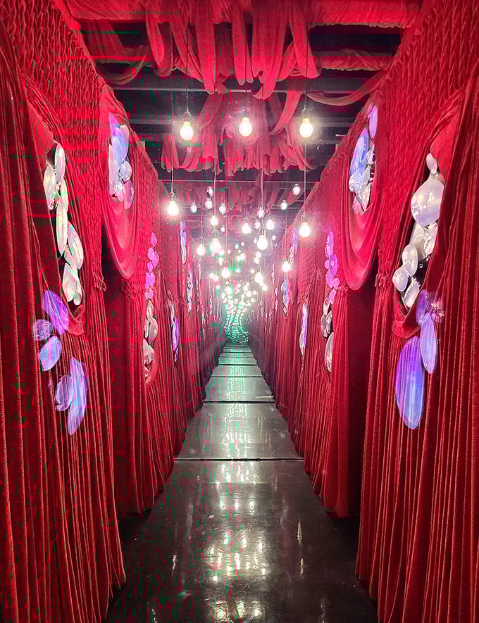 Walking through this crimson corridor feels like traversing the inside of a beating heart – pulsing with light and possibility.