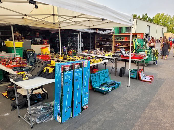 Tool paradise for DIY enthusiasts! Every gadget imaginable waits to be discovered, promising weekend projects and spousal eye-rolls for years to come.